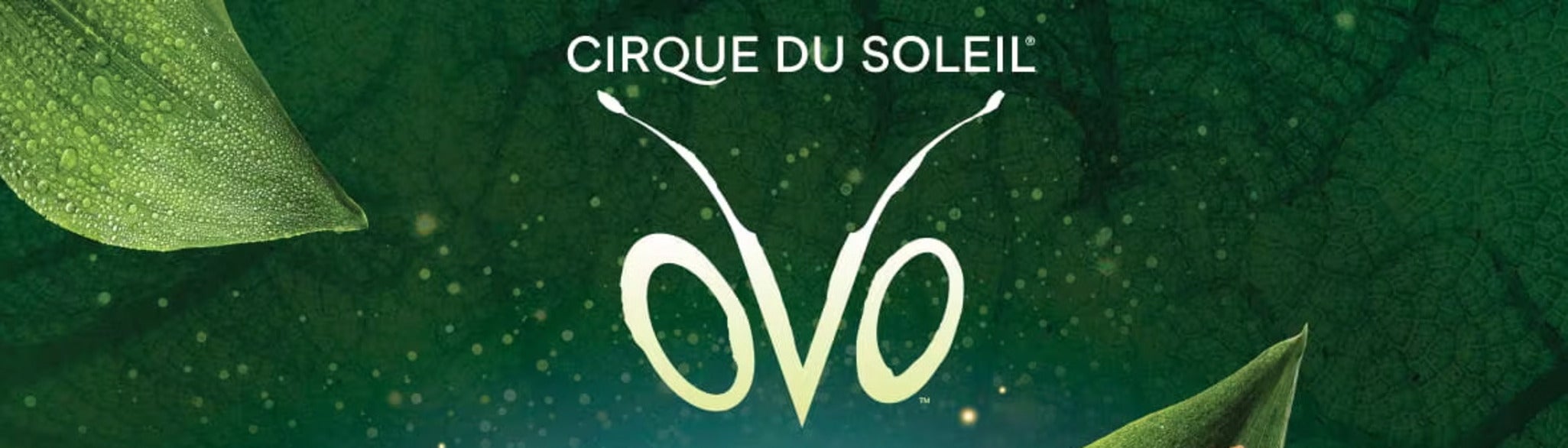 Cirque du Soleil: OVO Tickets | Cirque du Soleil: OVO Show Tickets ...
