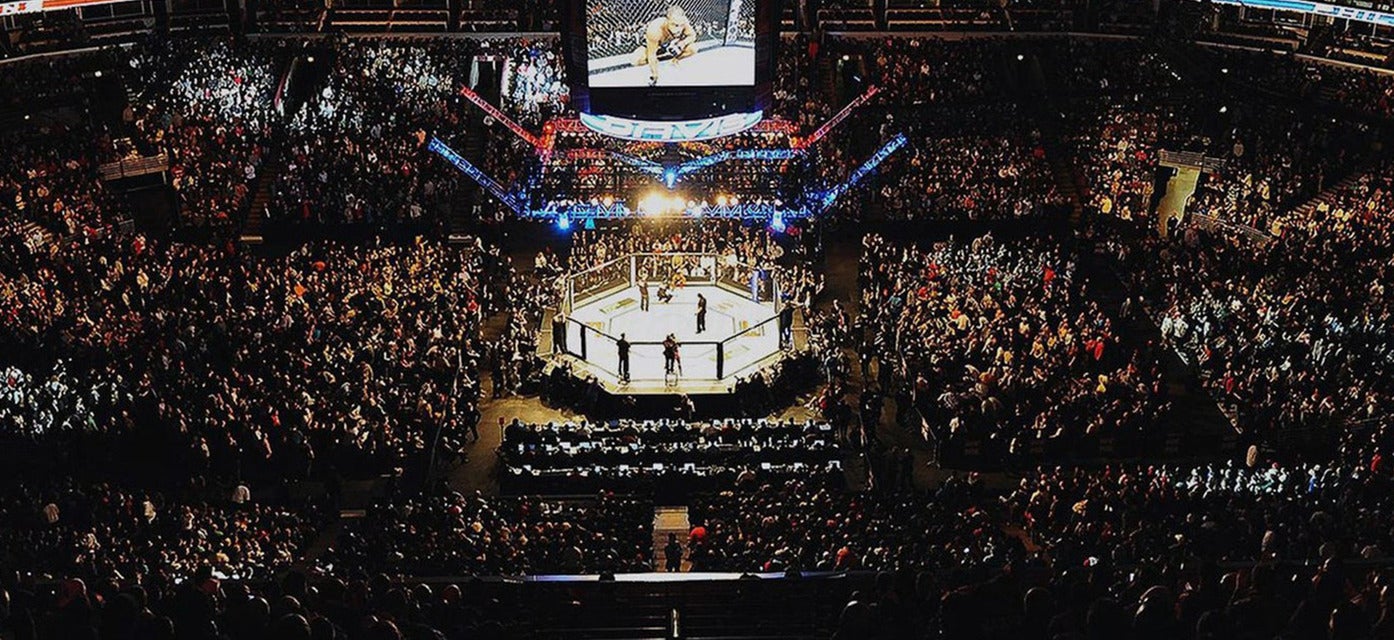 Cheap UFC 303 Tickets | Gametime