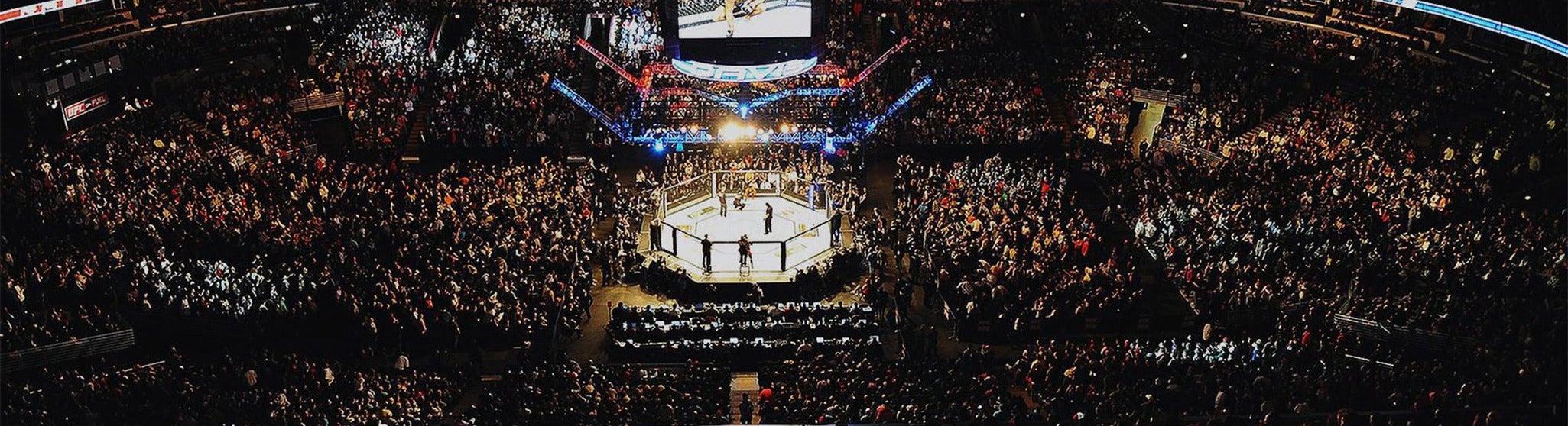 Cheap tickets for UFC 313 from affordable prices | Gametime