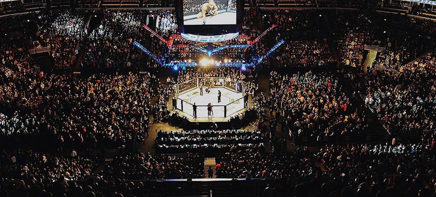 Cheap tickets for UFC 314 from affordable prices | Gametime